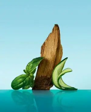 Calvin Klein Eternity Aqua For Eau De Toilette Fragrance Collection