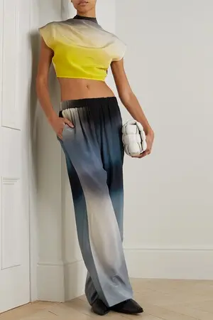 Gauchère Pleated Ombré Woven Pants