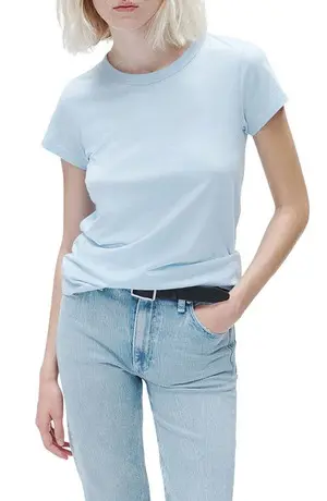 Rag & Bone Rag & Bone Slub Organic Pima Cotton T-Shirt Raindrop