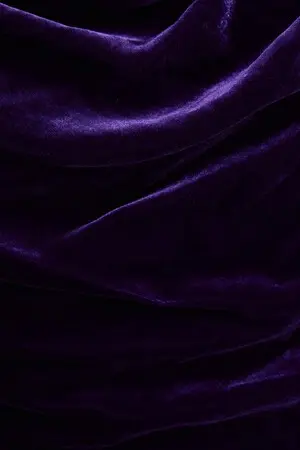RASARIO Draped Velvet Midi Dress