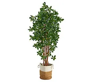 NEARLY NATURAL 6' Black Olive In Natural Jute & Ctn Planter By - One-color