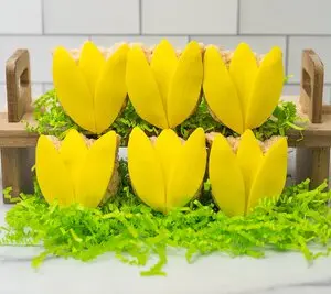 CREATIVE CRISPIES CO. Creative Crispies 6-pc Spring Yellow Tulip - One-color