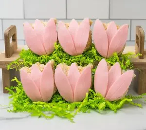 CREATIVE CRISPIES CO. Creative Crispies 6-pc Spring Pink Tulip - One-color