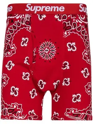 Supreme X Hane Brandana-Print Boxer Brief - Red | Editorialist