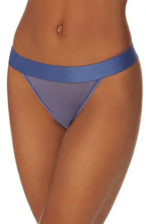 Dkny Sheers Bikini - Gray Blue