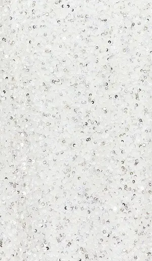 Retrofete Dionne Sequin Dress - Silver & White