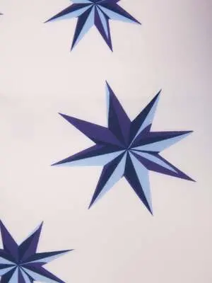 La DoubleJ Star Print Bandeau Top