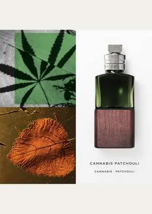 Dries Van Noten Cannabis Patchouli Eau De Parfum Refill
