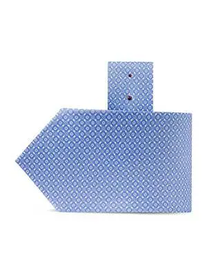 Stefano Ricci Luxury Printed Silk Tie Pastel Blue
