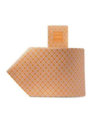 Stefano Ricci Men's Luxury Woven Silk Tie - Bright Orange Bright Orange
