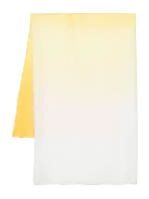 Faliero Sarti Tonal Gradient Scarf
