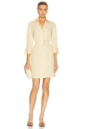 Max Mara Saio Dress In Beige
