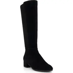 Dune London Mid Heel Boots For Women