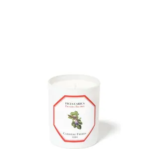 CARRIERE FRERES Carrière Frères Scented Candle Fig Treeficus Carica6.5 Oz - One-color