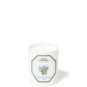 CARRIERE FRERES Carrière Frères Aloysia Citrodoraverbena 6.5 Oz - One-color