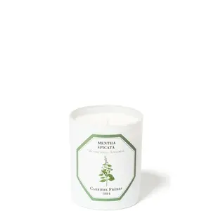 CARRIERE FRERES Carrière Frères Scented Candle Spearmintmentha Spicata6.5 Oz - One-color