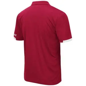 COLOSSEUM Arkansas Razorbacks Big & Tall Santry Polo