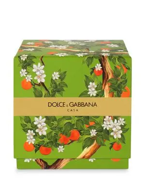 Dolce & Gabbana Floral-print Scented Candle - Green