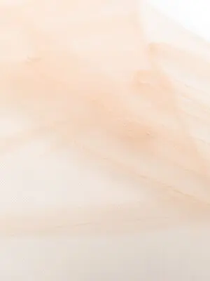 IOANA CIOLACU Sheer Gloves - Neutrals
