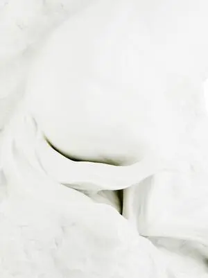 LLADRO Unbreakable Spirit Horse Porcelain Sculpture