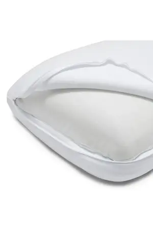 CASPER Hybrid Pillow