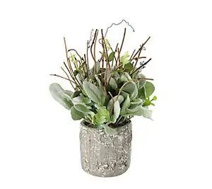 PULEO INTERNATIONAL Puleo 11' Lambs Ear Potted Plant With Twig & Gr Eenery Leaves - One-color