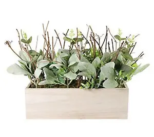 PULEO INTERNATIONAL Puleo 11' Lambs Ear Centerpiece W/twigs & Green Ery In Wood - One-color