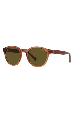 Polo Ralph Lauren 51mm Round Sunglasses - Brown
