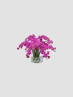 WINWARD HOME Faux Orchid Phalaenopsis Floral Arranget - Fuchsia