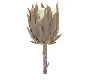 MELROSE Protea Floral Stem 20'h - One-color