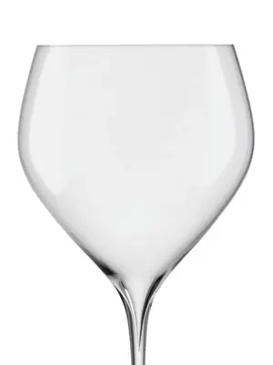 LSA INTERNATIONAL Savoy Wine Glass Set