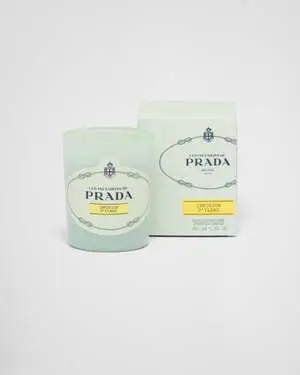 Prada Infusion D'ylang Candle Fragrances