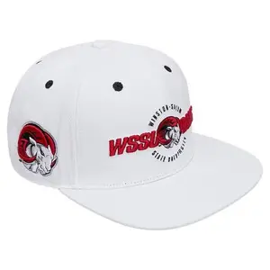 PRO STANDARD Winston Salem Rams Evergreen Wool Snapback Hat