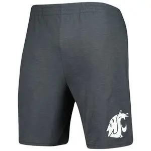 CONCEPTS SPORT White Washington State Cougars Downfield T-shirt & Shorts Set