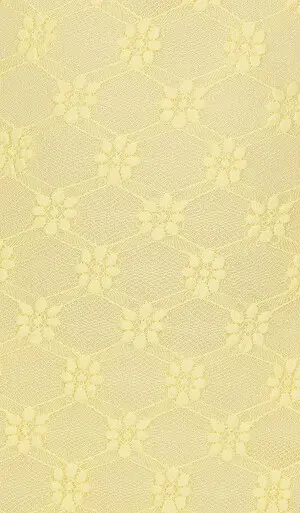 Bardot Adoni Mesh Maxi Dress - Canary Yellow