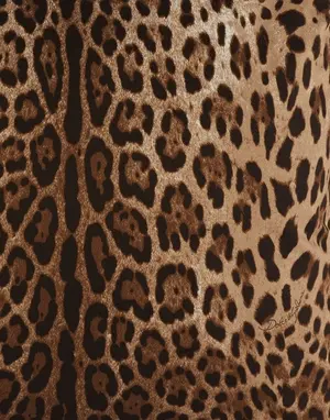 Dolce & Gabbana Duchesse Cotton Cushion Large