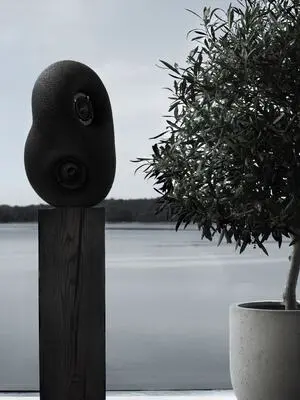 TRANSPARENT Acoustic Sculpture Speaker - Black