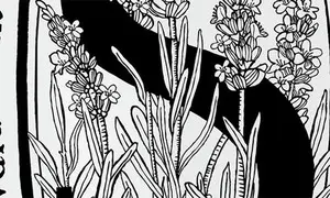DIPTYQUE Softening Hand Wash Refill - No Color