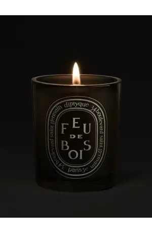 DIPTYQUE Feu De Bois Large Scented Candle - Grey Vessel