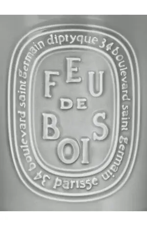 DIPTYQUE Feu De Bois Large Scented Candle - Grey Vessel