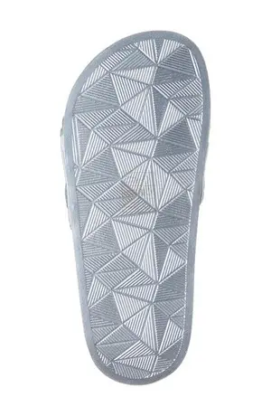 Kurt Geiger Meena Eagle Slide Sandal - Silver