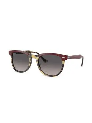 Ray-ban Eagle Eye Round-frame Sunglasses - Red