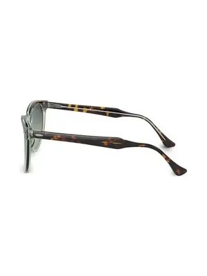 Ray-ban Round-frame Sunglasses - Brown