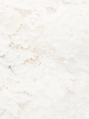 Dolce & Gabbana Mini Sleeveless Lace Dress - Neutrals