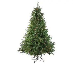 NORTHLIGHT Northlgiht 5' Pre-lit Medium Canadian Pine Chri Tmas Tree - One-color