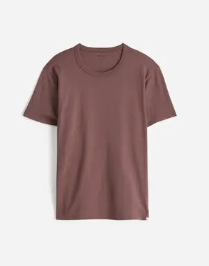 Madewell Allday Tee Chalked Fig