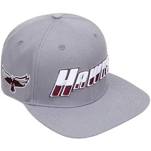 PRO STANDARD Maryland Eastern Shore Hawks Evergreen Hawks Snapback Hat - Gray