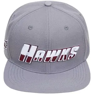 PRO STANDARD Maryland Eastern Shore Hawks Evergreen Hawks Snapback Hat