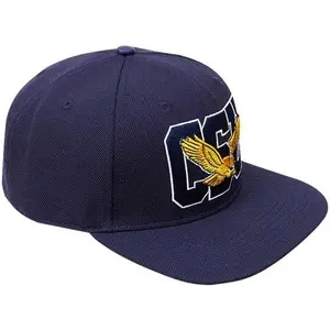 PRO STANDARD Coppin State Eagles Evergreen Csu Snapback Hat - Navy