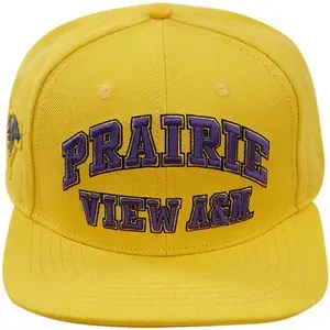 PRO STANDARD Prairie View A&m Panthers Evergreen Prairie View Snapback Hat